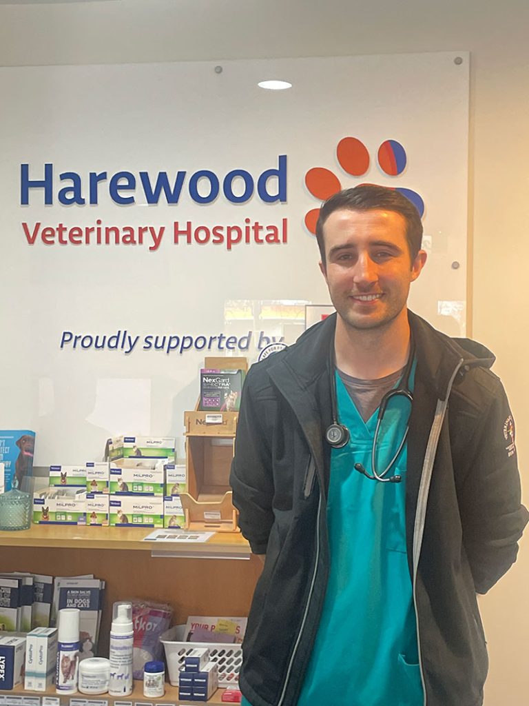 Dr Nick Timms - Harewood Veterinary Hospital